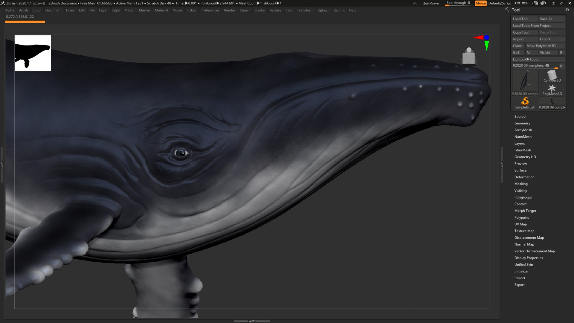 3D Humpback Whale Model - TurboSquid 1934532