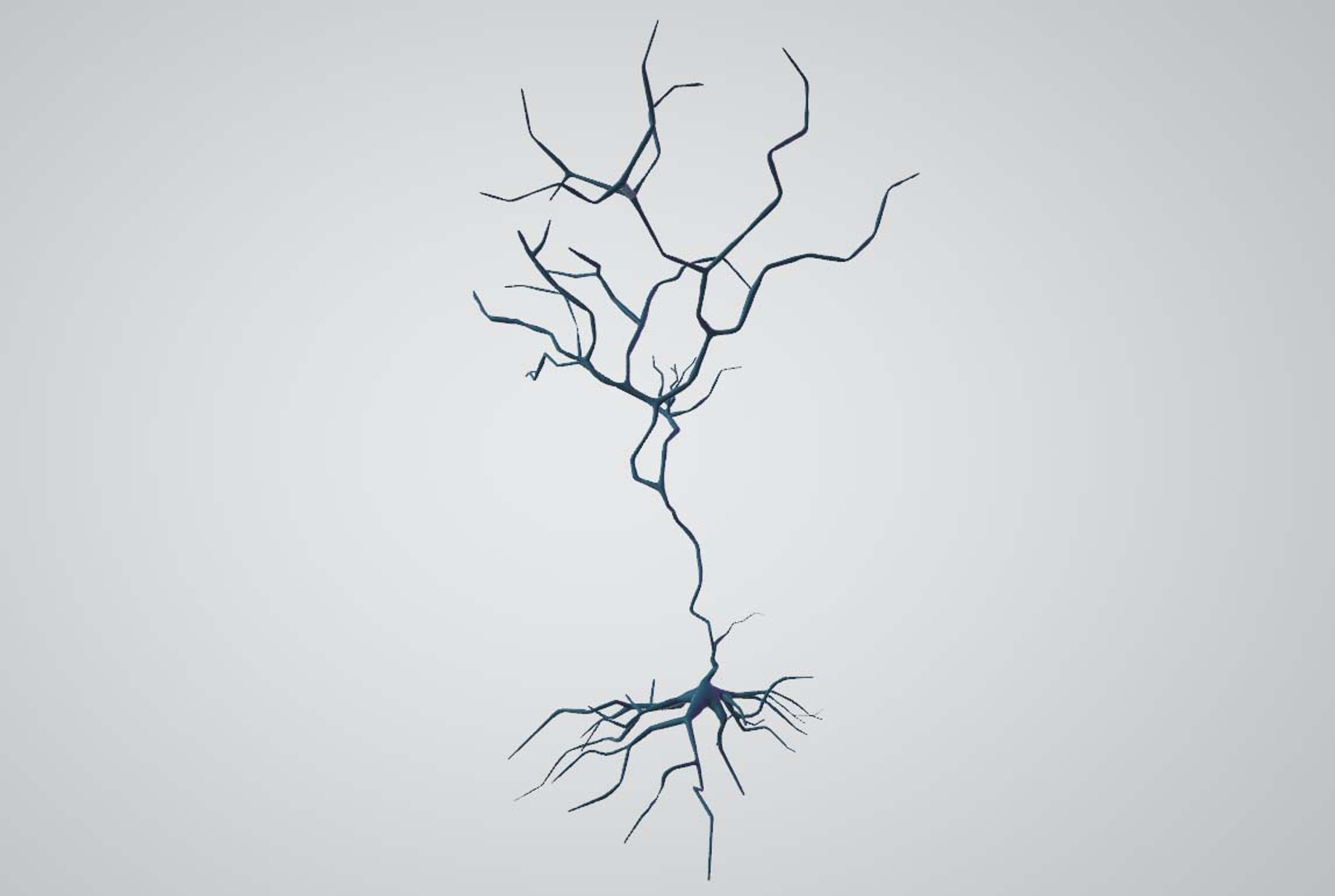 Neuron subiculum pyramidal 3D model - TurboSquid 1348284