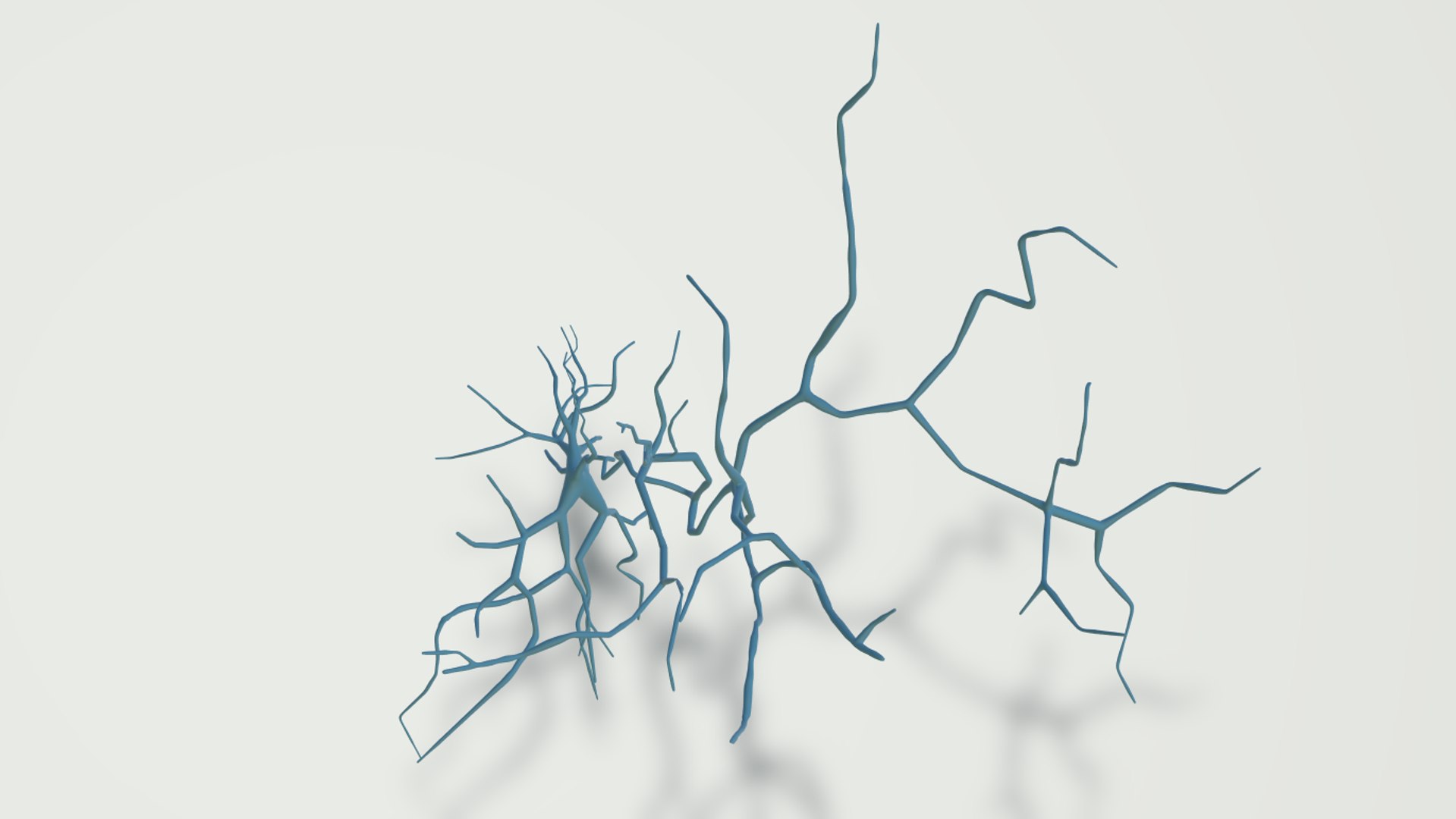 Neuron Subiculum Pyramidal 3D Model - TurboSquid 1348284