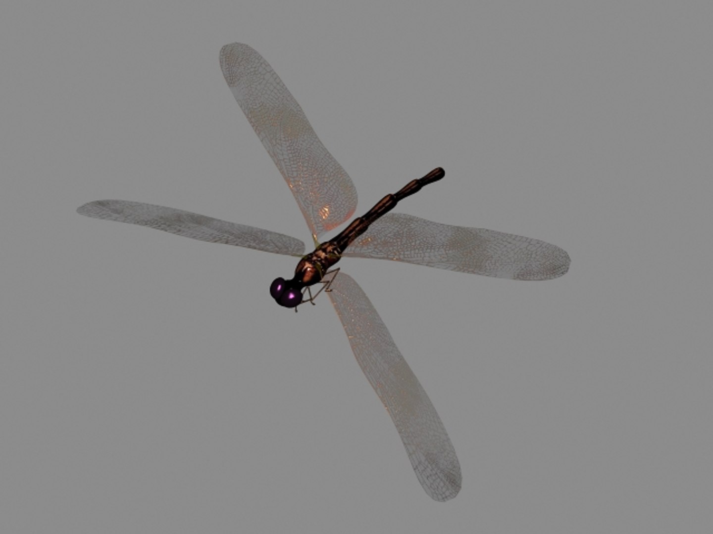 Dragonfly Flying Max