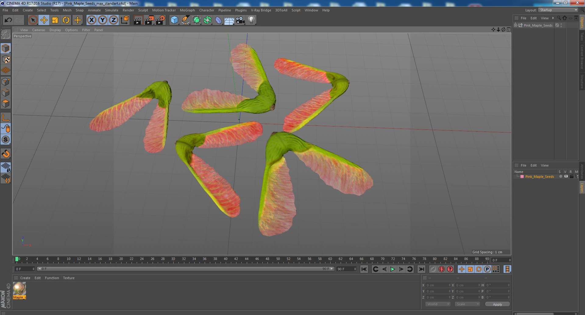 3D Pink Maple Seeds - TurboSquid 1838657