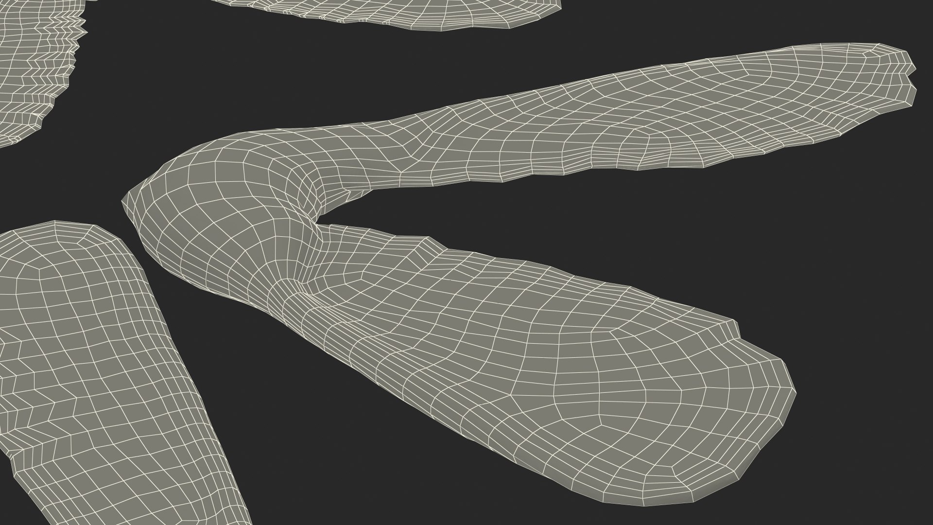 3D Pink Maple Seeds - TurboSquid 1838657