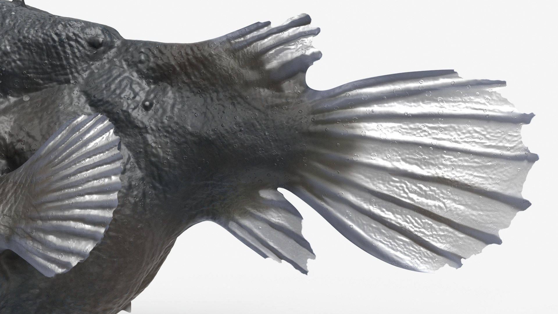 Anglerfish Rigged 3D Model - TurboSquid 2243132
