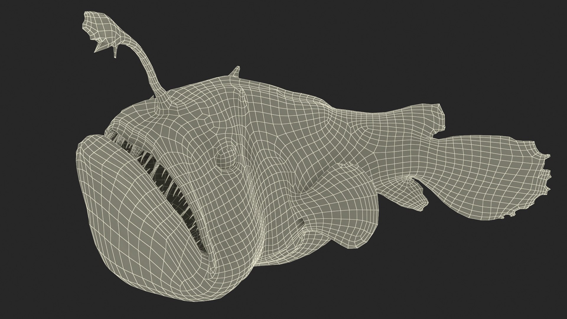 Anglerfish Rigged 3D Model - TurboSquid 2243132