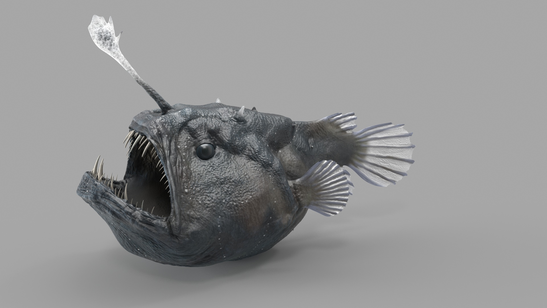 Anglerfish Rigged 3D Model - TurboSquid 2243132