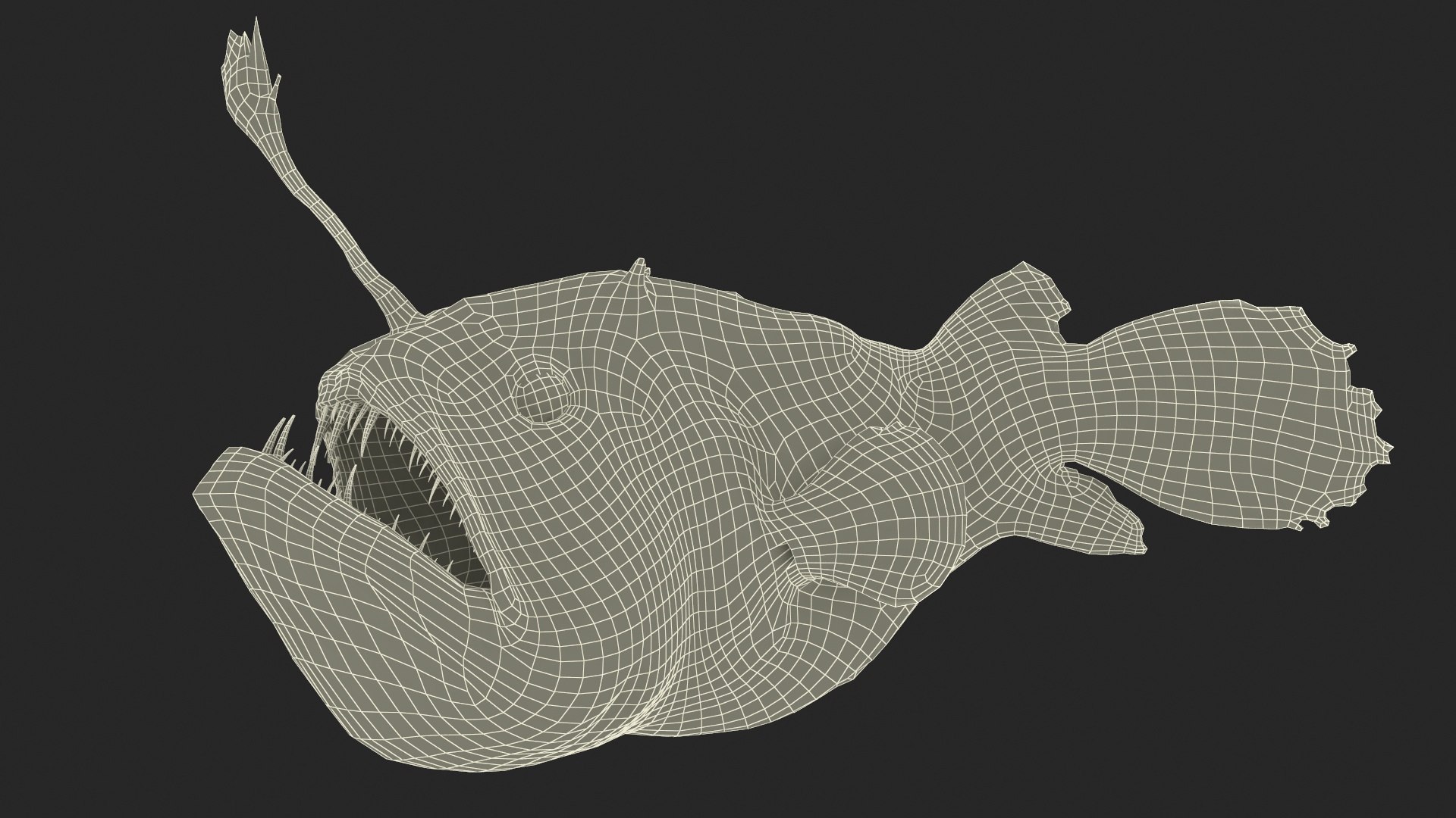 Anglerfish Rigged 3D Model - TurboSquid 2243132