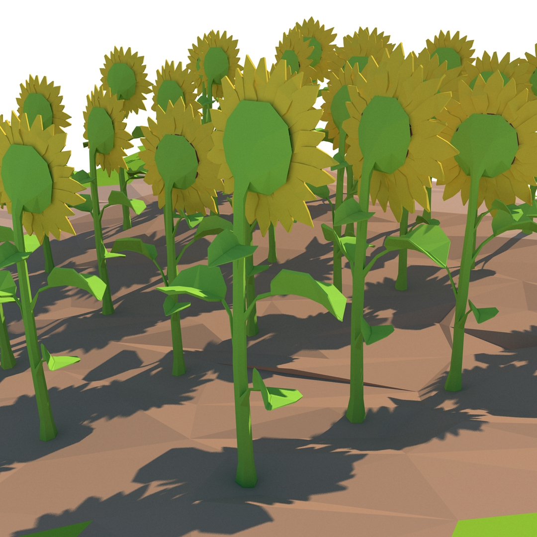 3d sunflower cartoon sun model