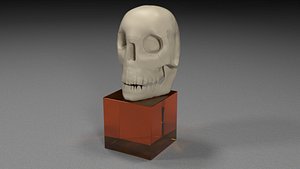 Skull 3D Models for Download | TurboSquid