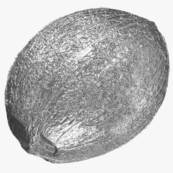Coconut 01 silver 3D model - TurboSquid 1508303