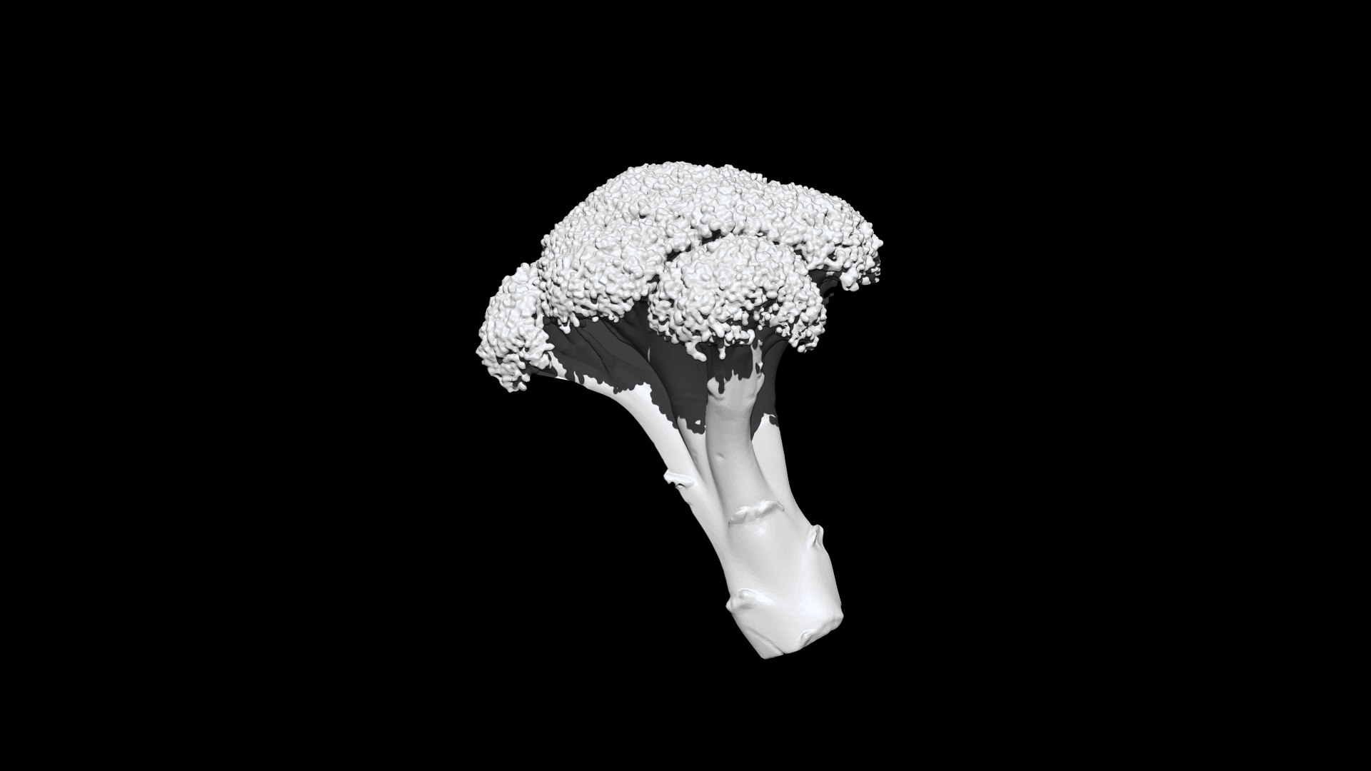 Broccoli 3D CT Scan Model Cut 2 Decimate 30percent 3D Model ...
