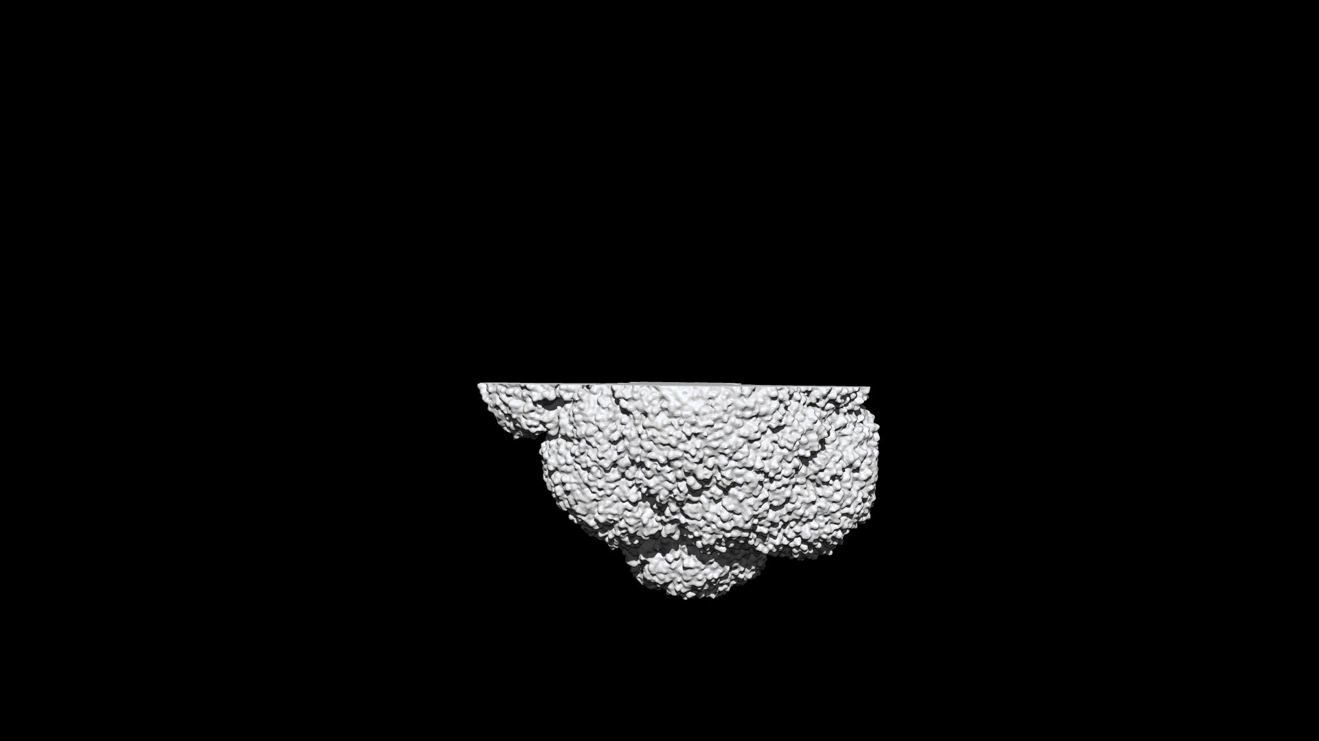 Broccoli 3D CT Scan Model Cut 2 Decimate 30percent 3D Model ...