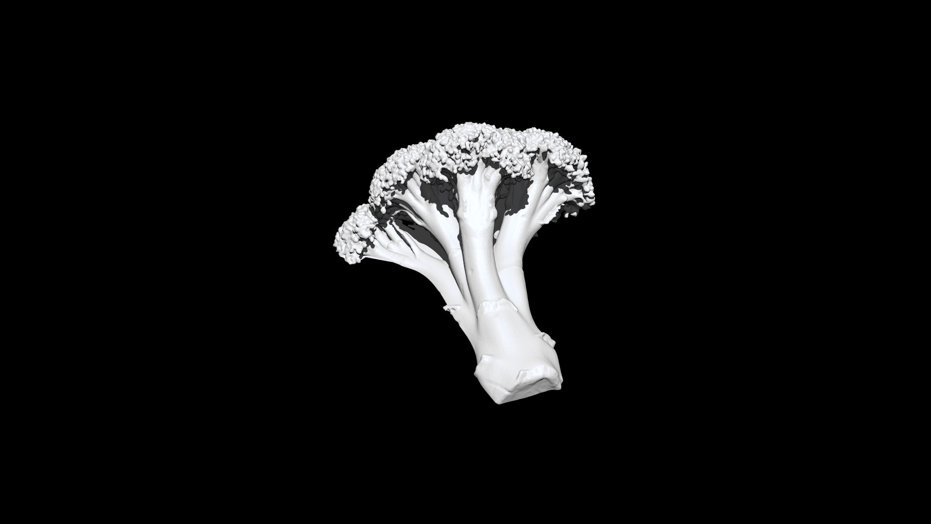 Broccoli 3D CT Scan Model Cut 2 Decimate 30percent 3D Model ...
