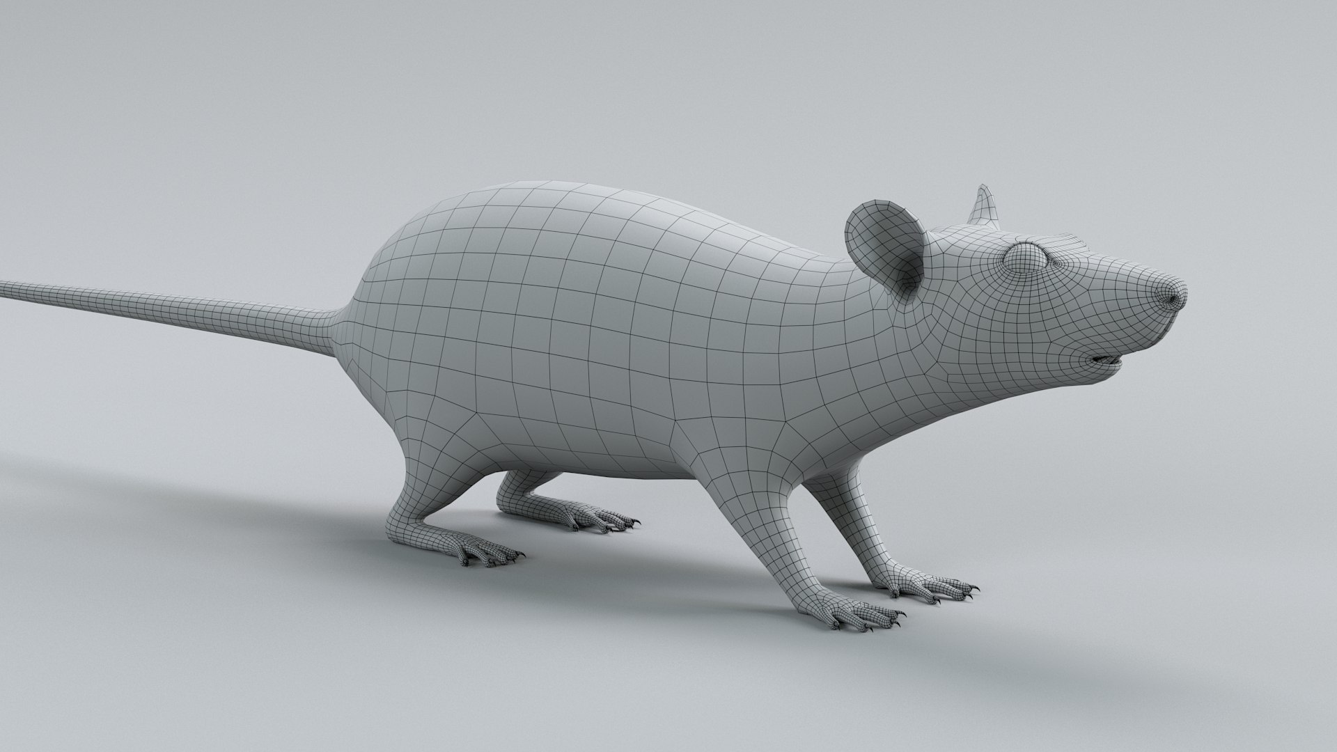 Laboratory Rat Static Xgen Model - TurboSquid 2374773