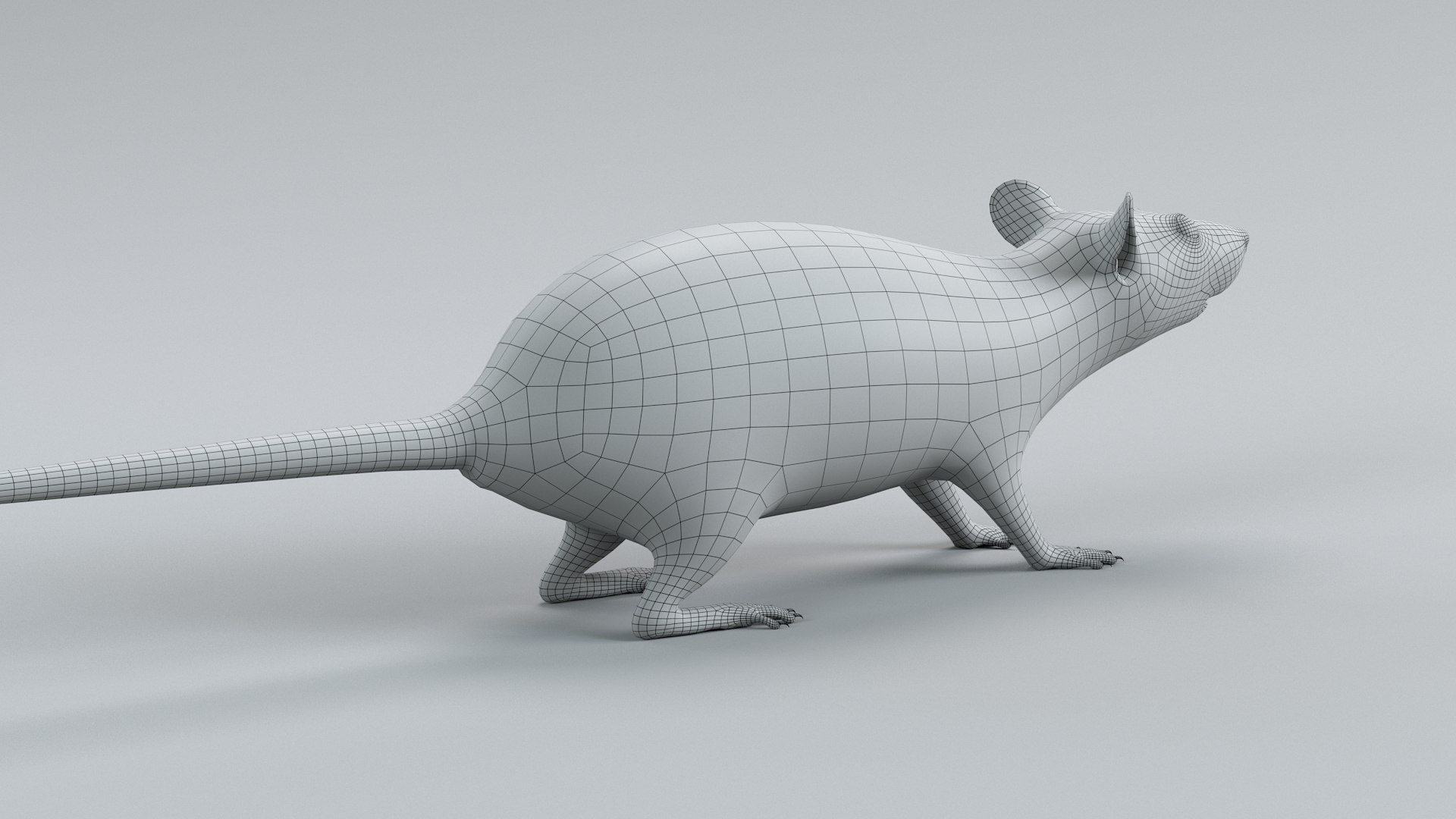 Laboratory Rat Static Xgen Model - TurboSquid 2374773