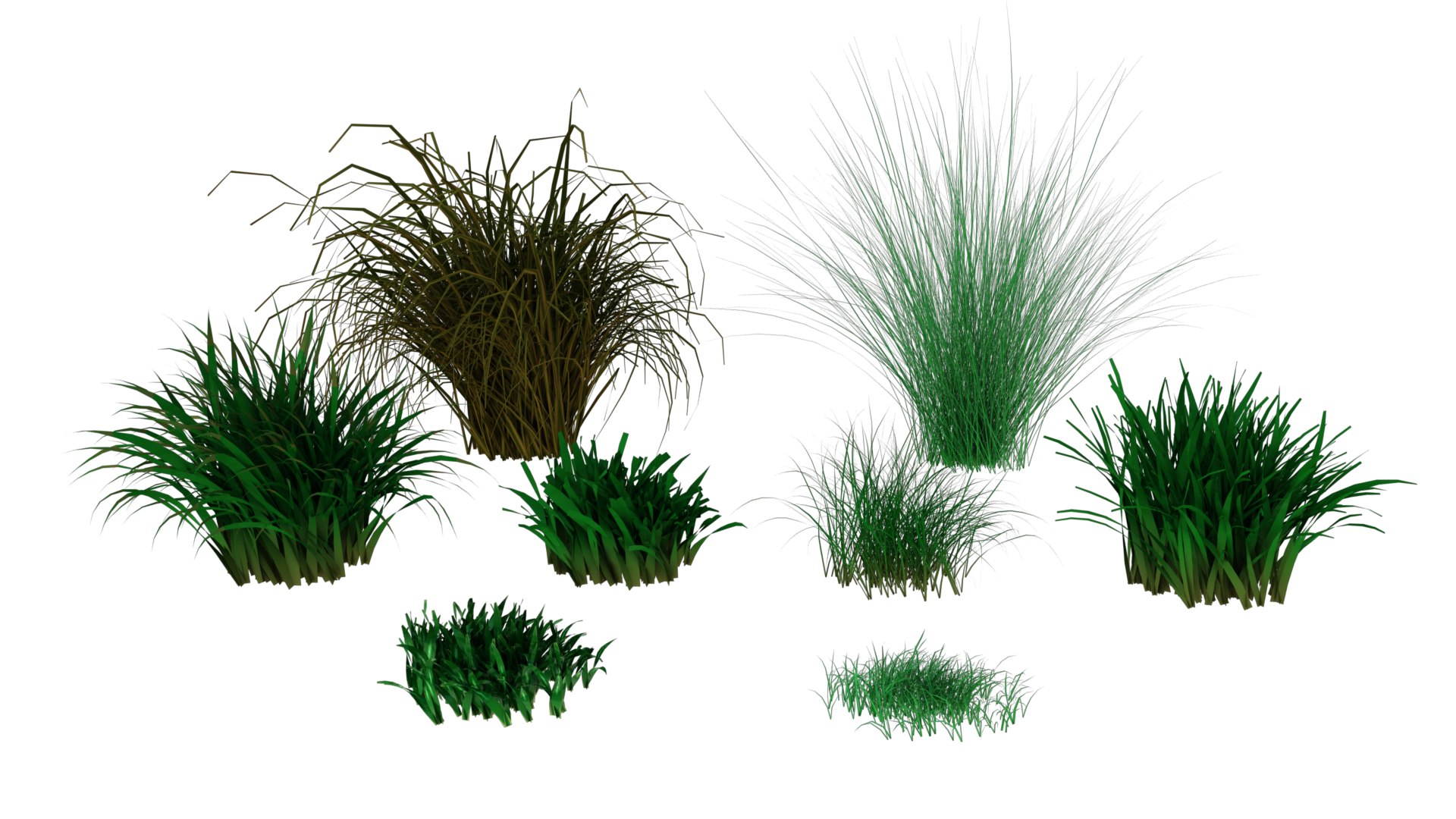 3D Realistic Grass Collections - TurboSquid 1995929