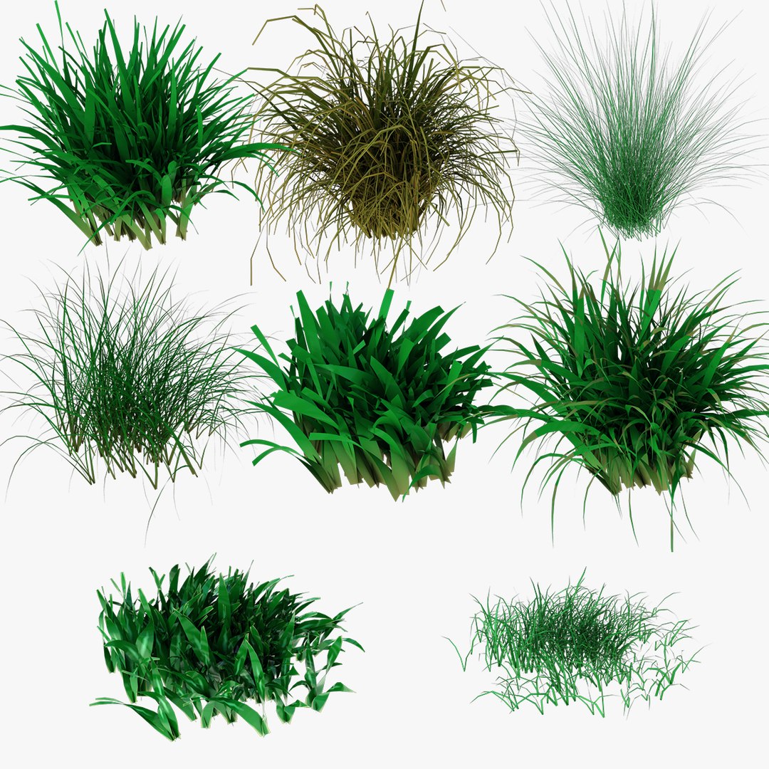 3D Realistic Grass Collections - TurboSquid 1995929