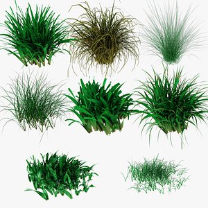 AutoCAD drawing Grass Models | TurboSquid