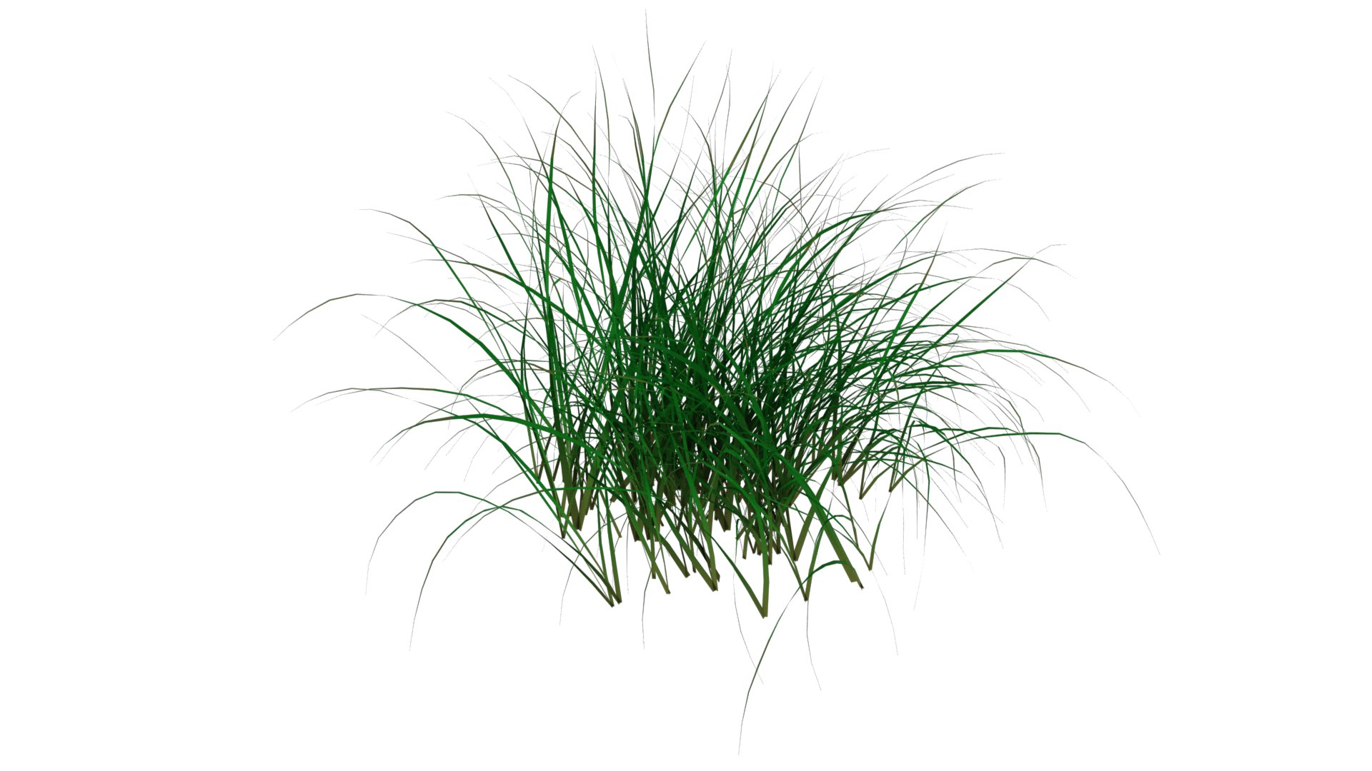 3D Realistic Grass Collections - TurboSquid 1995929