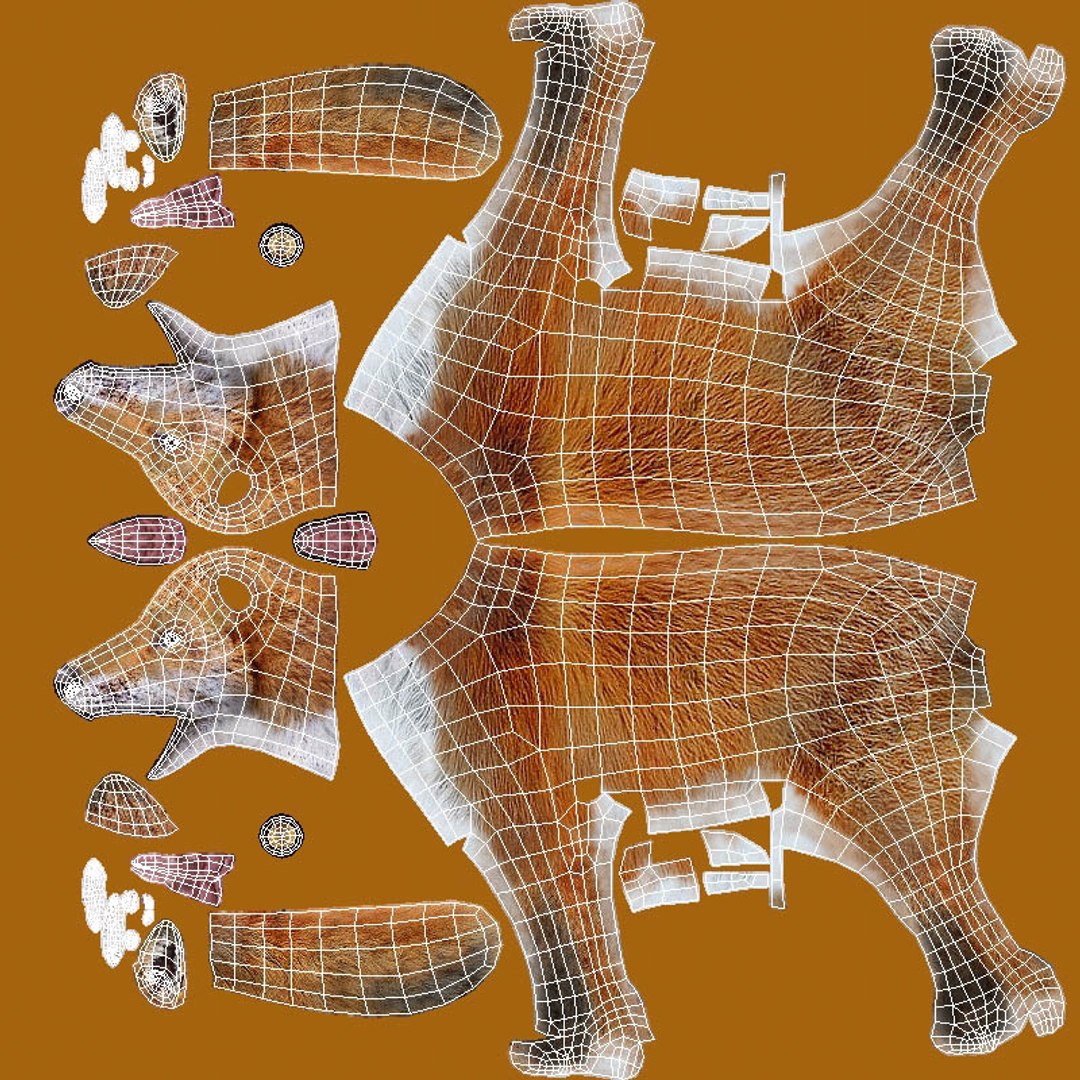 3D Fox Body - TurboSquid 1853022