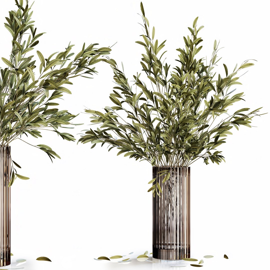 Olive Stems In Modern Vase 3D - TurboSquid 1808030