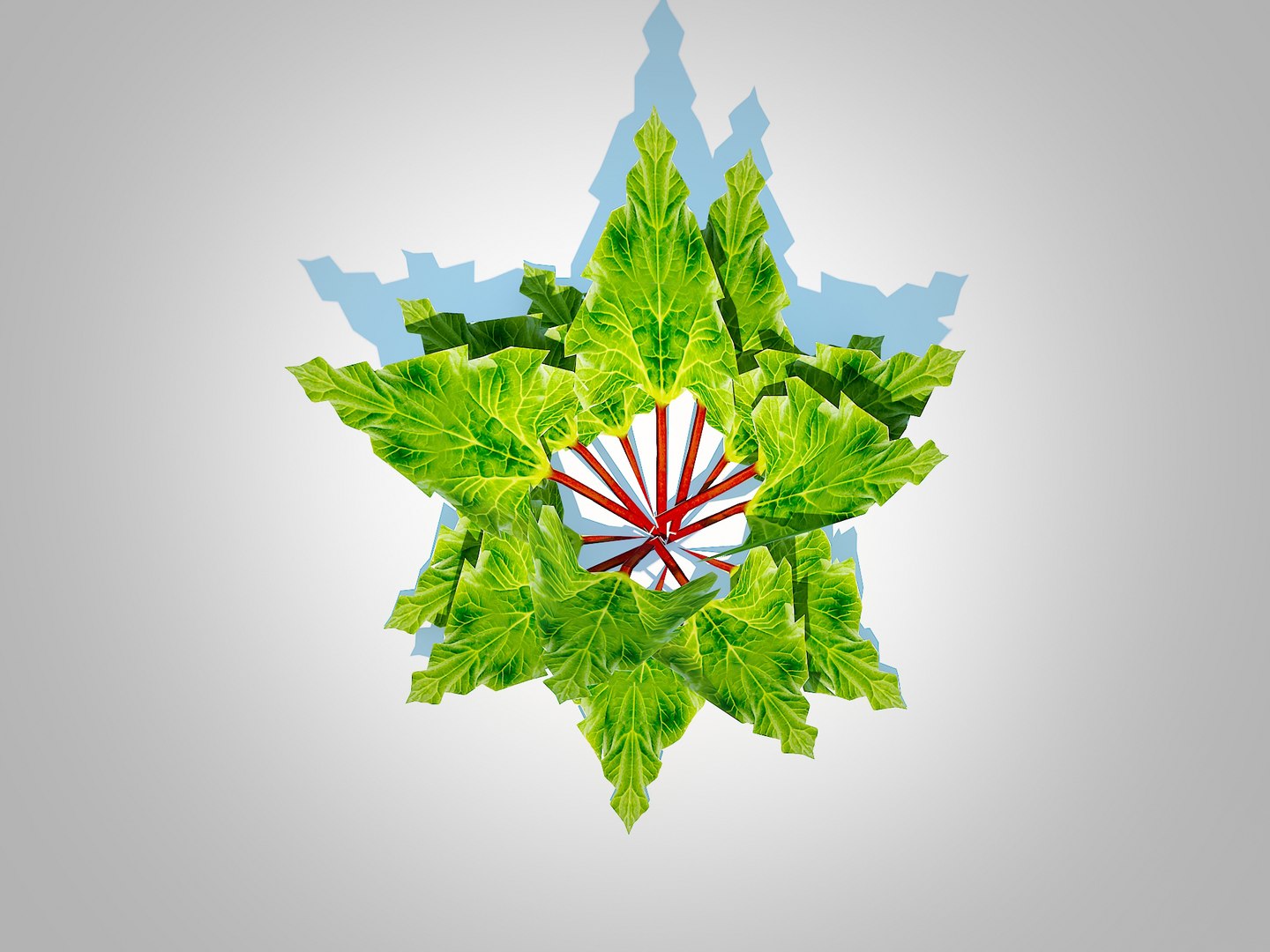 3D Rhubarb Model - TurboSquid 2310912