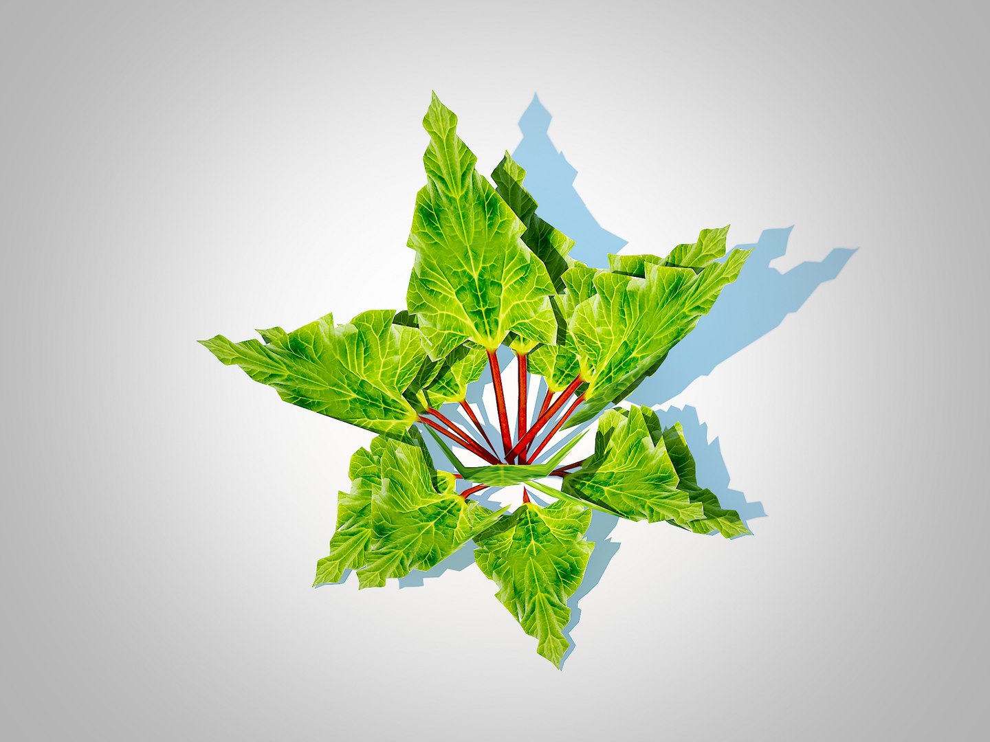 3D Rhubarb Model - TurboSquid 2310912