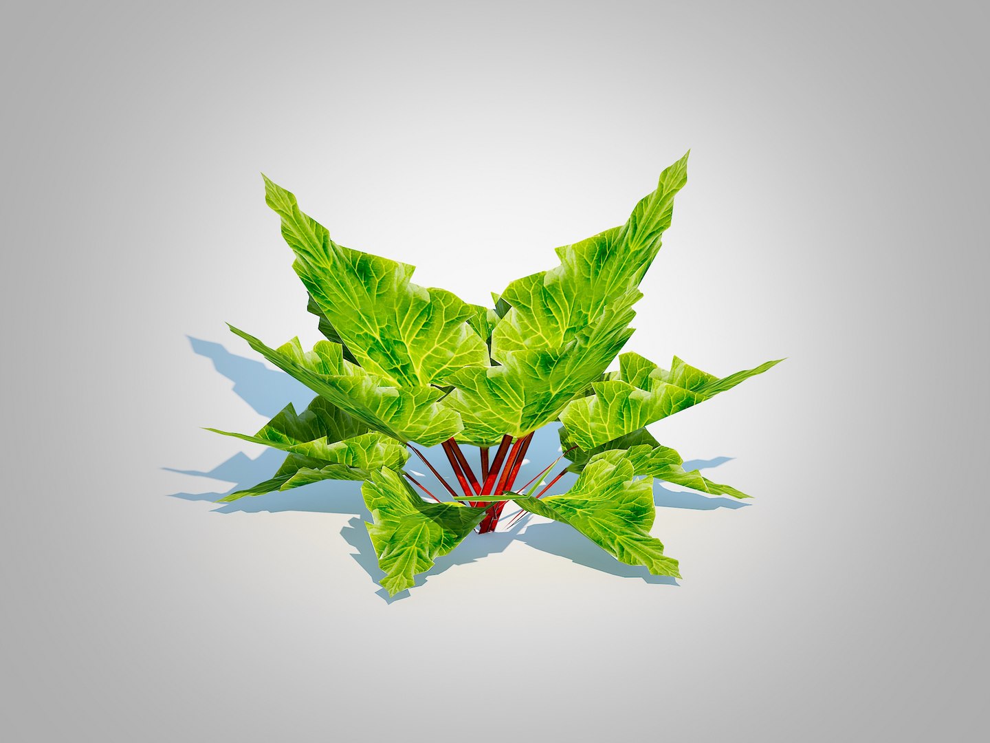 3D Rhubarb Model - TurboSquid 2310912