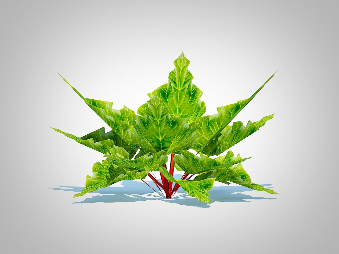 3D Rhubarb Model - TurboSquid 2310912
