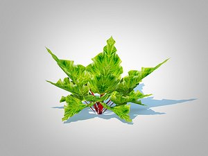 3D Rhubarb Models - Browse & Download Formats - TurboSquid