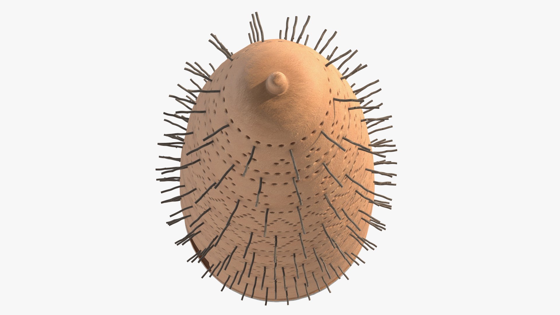 3D Pigeon Tower - TurboSquid 1993625