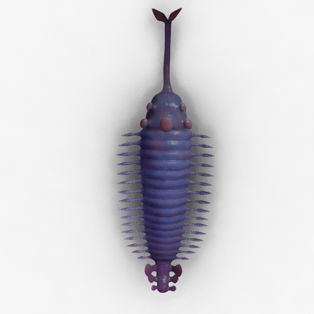 rigged opabinia ma