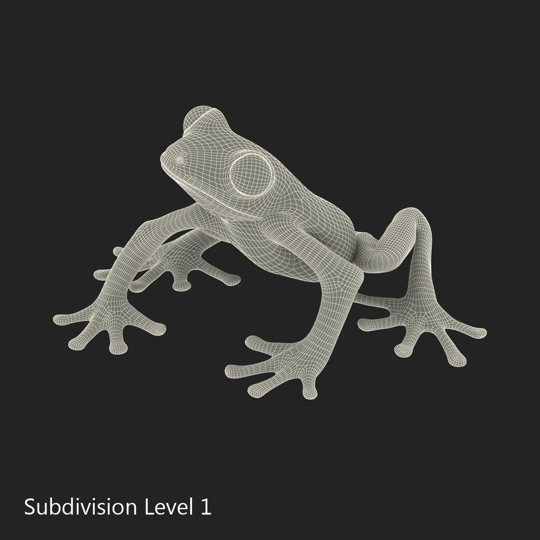 3d tree frog rigged model