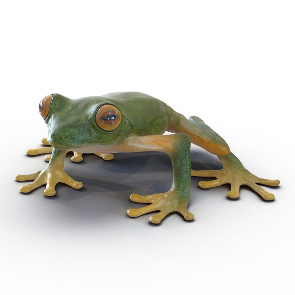 3d tree frog rigged model