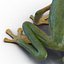 3d Tree Frog Rigged Model