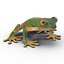 3d Tree Frog Rigged Model