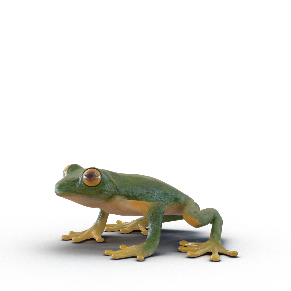 3d tree frog rigged model