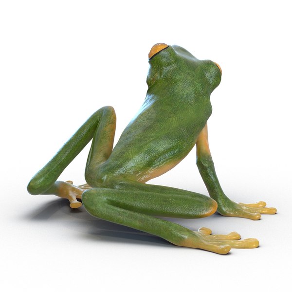 3d tree frog rigged model