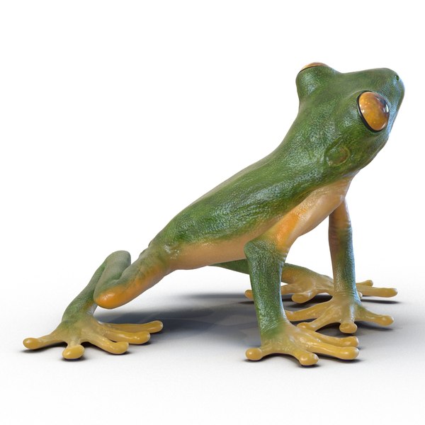 3d tree frog rigged model