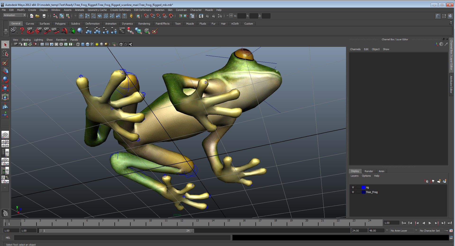 3d tree frog rigged model