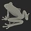 3d Tree Frog Rigged Model