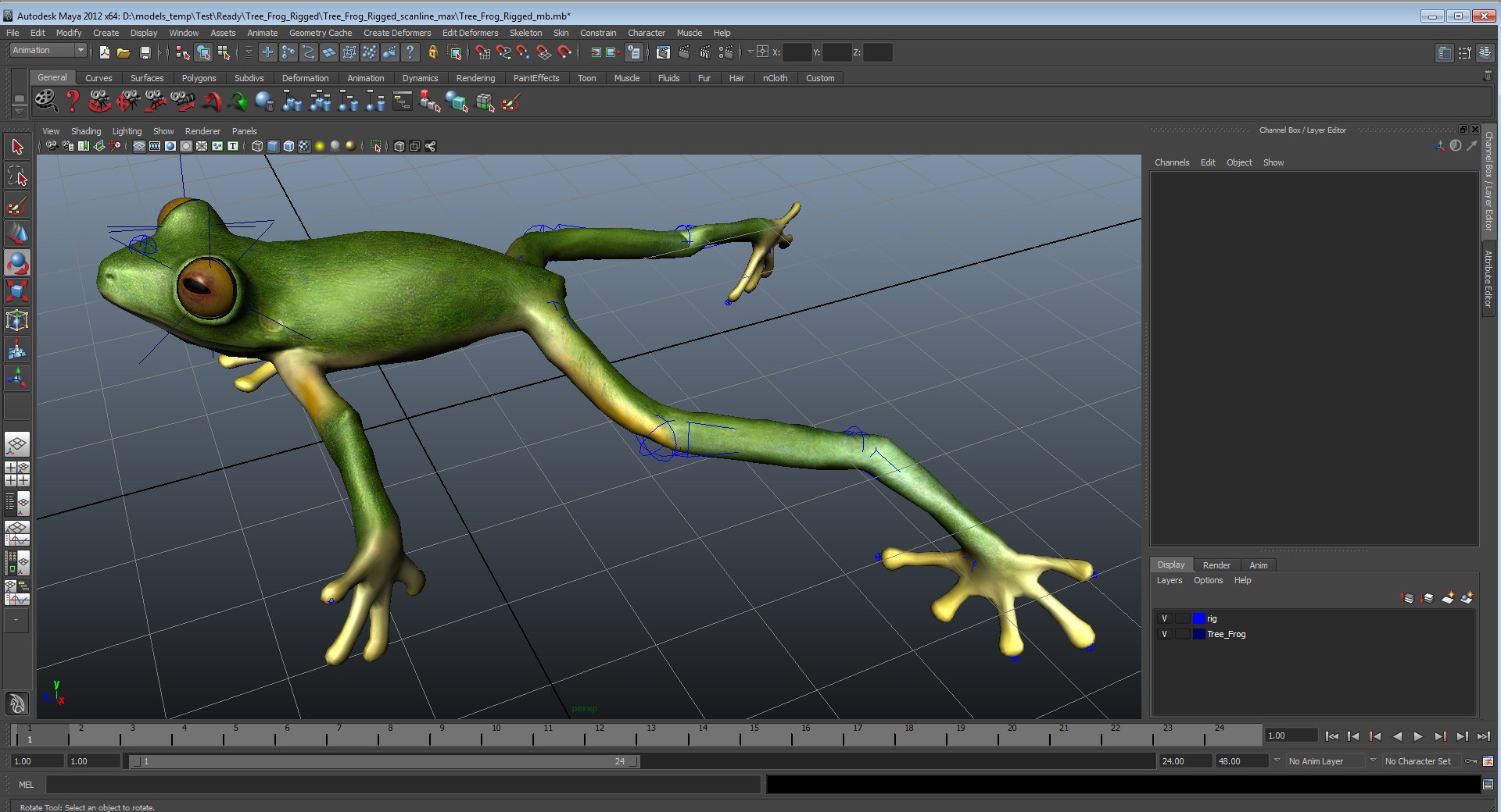 3d tree frog rigged model