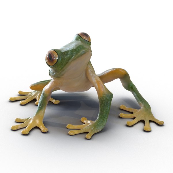 3d tree frog rigged model