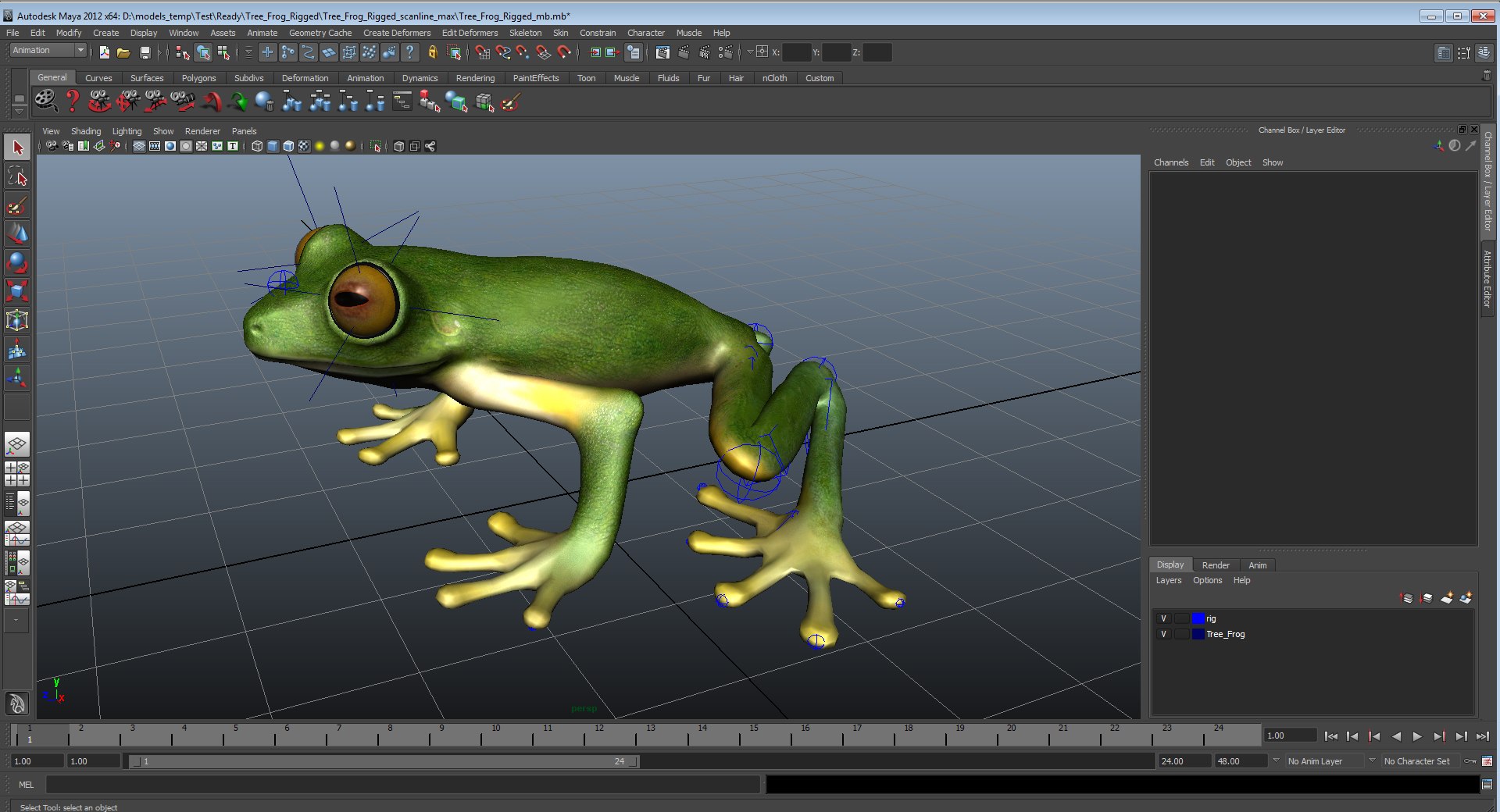 3d Tree Frog Rigged Model