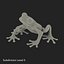 3d Tree Frog Rigged Model