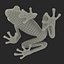 3d Tree Frog Rigged Model