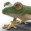 3d Tree Frog Rigged Model