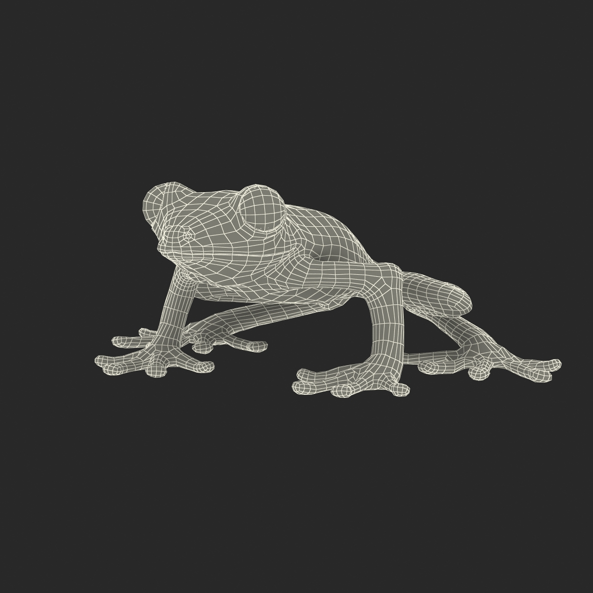 3d tree frog rigged model