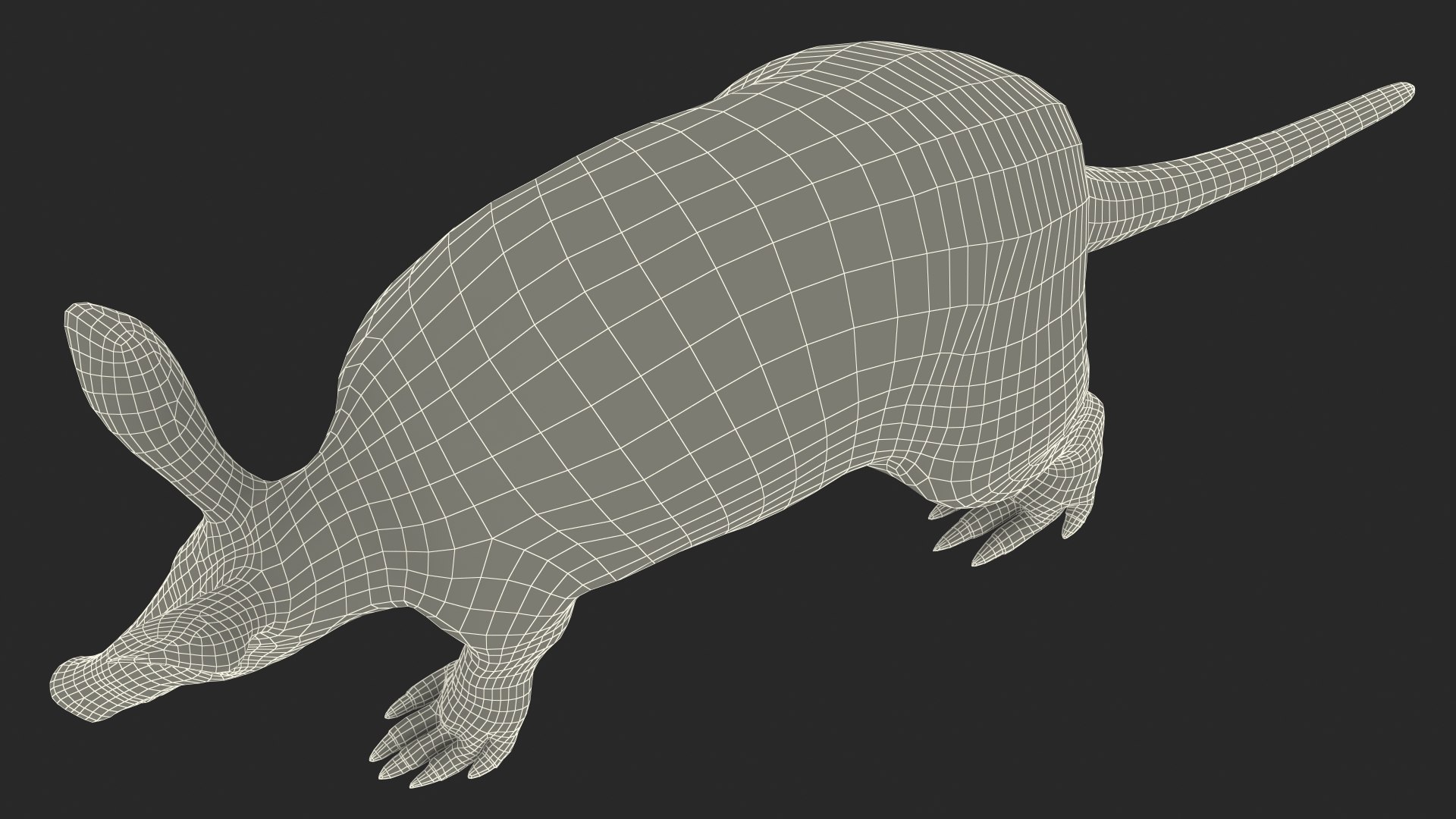 3D Mammal Aardvark Walking Pose - TurboSquid 2180381