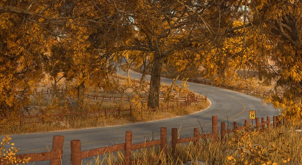 3D mountain forest road model - TurboSquid 1467228