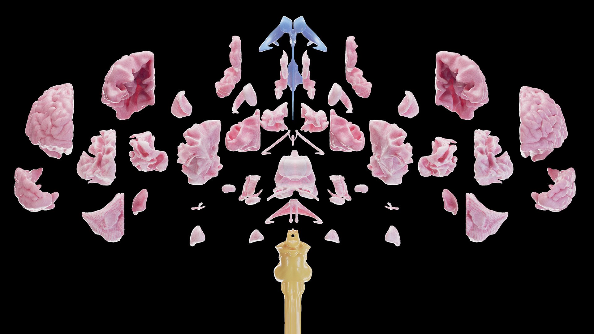 Human Male Nervous System Static 3D model - TurboSquid 2050071